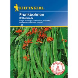 Prunkbohnen Rotblühende - Gemüsesamen - Kiepenkerl