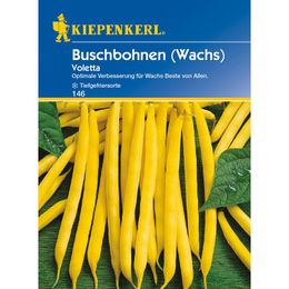 Kiepenkerl - Buschbohnen Wachs Voletta - Gemüsesamen