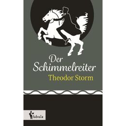 Der Schimmelreiter - Theodor Storm, Kartoniert (TB)