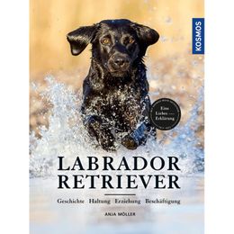 Labrador Retriever - Anja Möller, Gebunden