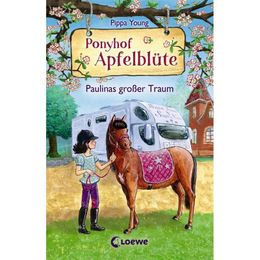 Loewe Verlag Paulinas großer Traum / Ponyhof Apfelblüte Bd.14 - Pippa Young, Gebunden