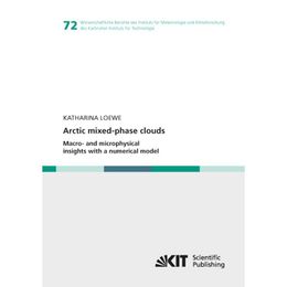 Arctic mixed-phase clouds : Macro- and microphysical insights with a numerical model - Katharina Loewe, Kartoniert (TB)