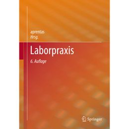 Springer International Publishing Laborpraxis, Gebunden