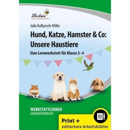 Werkstattlernen Sachunterricht / Hund, Katze, Hamster & Co: Unsere Haustiere, m. 1 CD-ROM - Julia Kulbarsch-Wilke, Gebunden