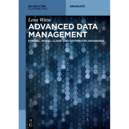 De Gruyter Textbook / Advanced Data Management - Lena Wiese, Kartoniert (TB)