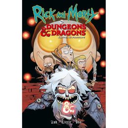 Rick and Morty vs. Dungeons & Dragons / .2 / Rick and Morty vs. Dungeons & Dragons, Painscape - Jim Zub, Troy Littel, Kartoniert (TB)