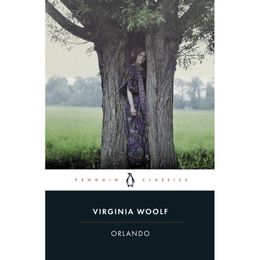 Orlando - Virginia Woolf, Kartoniert (TB)