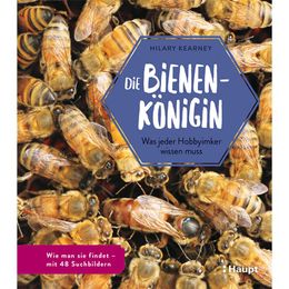 haupt Die Bienenkönigin - Hilary Kearney, Gebunden