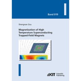 Magnetization of High Temperature Superconducting Trapped-Field Magnets - Shengnan Zou, Kartoniert (TB)