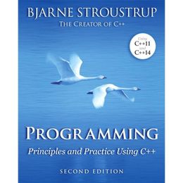 Programming: Principles and Practice Using C++ - Bjarne Stroustrup, Kartoniert (TB)