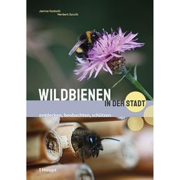 haupt Wildbienen in der Stadt - Janina Voskuhl, Herbert Zucchi, Kartoniert (TB)