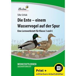 Werkstattlernen Sachunterricht / Die Ente - einem Wasservogel auf der Spur, m. 1 CD-ROM - Silke Schlak, Gebunden