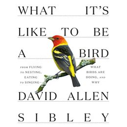 Penguin Random House Sibley Guides / What It's Like to Be a Bird - David Allen Sibley, Gebunden