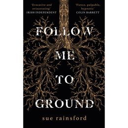 Follow Me To Ground - Sue Rainsford, Kartoniert (TB)
