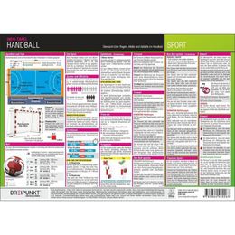 Handball, Info-Tafel - Michael Schulze, Poster