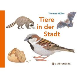 GERSTENBERG Tiere in der Stadt - Thomas Müller, Pappband