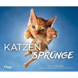 Riva Verlag Katzensprünge - Seth Casteel, Gebunden