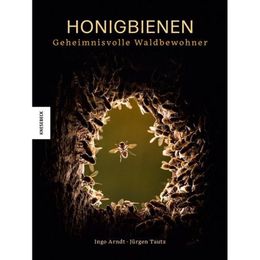 Honigbienen - geheimnisvolle Waldbewohner - Ingo Arndt, Jürgen Tautz, Gebunden