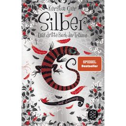Silber - Das dritte Buch der Träume / Silber Trilogie Bd.3 - Kerstin Gier, Taschenbuch
