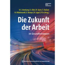 Die Zukunft der Arbeit im Gesundheitswesen, Kartoniert (TB)