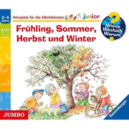 Wieso? Weshalb? Warum? Junior - Frühling, Sommer, Herbst und Winter,4 Audio-CD - Andrea Erne (Hörbuch)