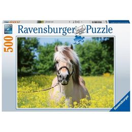 RAVENSBURGER VERLAG Puzzle PFERD IM RAPSFELD 500-teilig