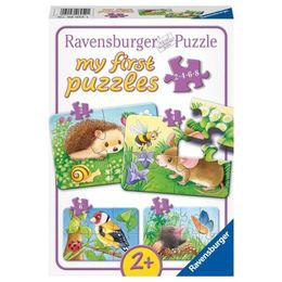 RAVENSBURGER VERLAG My first puzzles – Süße Gartenbewohner 2/4/6/8-teilig