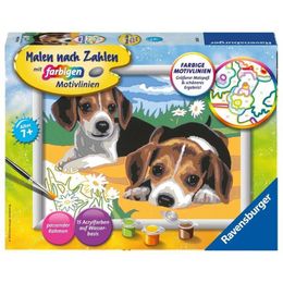 Malen nach Zahlen: Serie D – Jack Russel Welpen