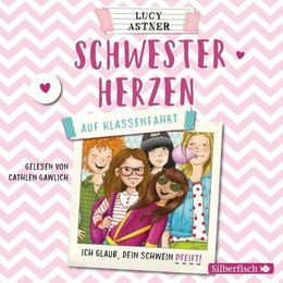 Silberfisch Schwesterherzen - 2 - Auf Klassenfahrt - Lucy Astner (Hörbuch)