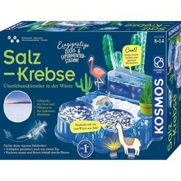 Salzkrebse (Experimentierkasten)