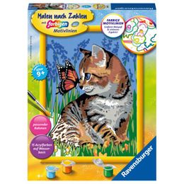 RAVENSBURGER VERLAG Mal-Set MALEN NACH ZAHLEN SERIE D – KATZE MIT SCHMETTERLING 18-teilig