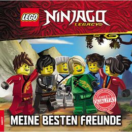 Ameet LEGO® NINJAGO – Meine besten Freunde