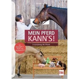 Müller Rüschlikon Mein Pferd kann's! - Vivian Gabor, Kartoniert (TB)