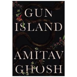Gun Island - Amitav Ghosh, Kartoniert (TB)