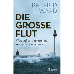 Die große Flut - Peter D. Ward, Kartoniert (TB)