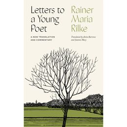 Penguin Random House Letters to a Young Poet - Rainer Maria Rilke, Gebunden