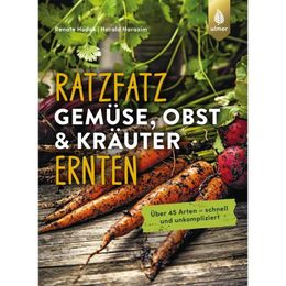 Ratzfatz Gemüse, Obst & Kräuter ernten - Renate Hudak, Harald Harazim, Kartoniert (TB)