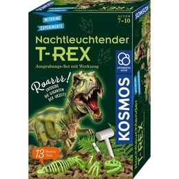 Kosmos Mitbring-Experimente NACHTLEUCHTENDER T-REX