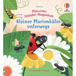 Kleiner Marienkäfer unterwegs / mein erstes Entdecker-Klappbuch Bd.4 - Anna Milbourne, Gebunden