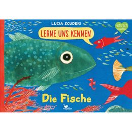 Magellan Die Fische / Lerne uns kennen Bd.1 - Lucia Scuderi, Gebunden