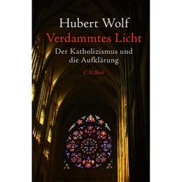 Beck Verdammtes Licht - Hubert Wolf, Gebunden