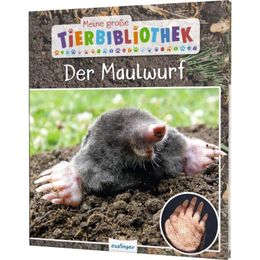 Der Maulwurf / Meine große Tierbibliothek Bd.21 - Jens Poschadel, Gebunden