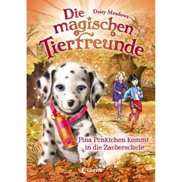 Loewe Pina Pünktchen kommt in die Zauberschule / Die magischen Tierfreunde Bd.15 - Daisy Meadows, Gebunden