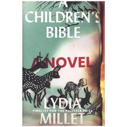 Norton A Children's Bible - A Novel - Lydia Millet, Gebunden