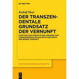 De Gruyter Der transzendentale Grundsatz der Vernunft - Rudolf Meer, Kartoniert (TB)