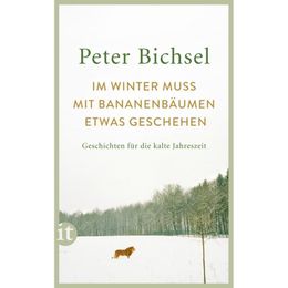 Im Winter muss mit Bananenbäumen etwas geschehen - Peter Bichsel, Taschenbuch