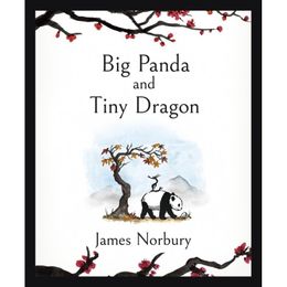 Big Panda and Tiny Dragon - James Norbury, Gebunden