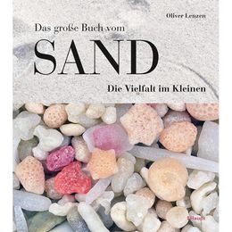 haupt Das große Buch vom Sand - Oliver Lenzen, Gebunden