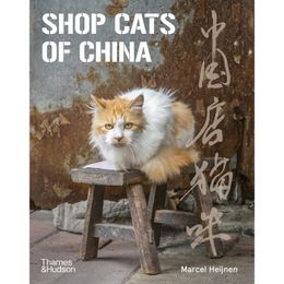 Shop Cats of China - Marcel Heijnen, Kartoniert (TB)