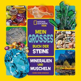 Mein großes Buch der Steine, Mineralien und Muscheln - Moira Rose Donohue, Gebunden